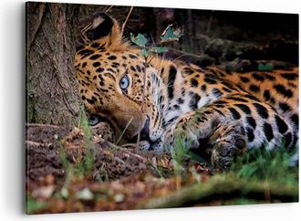 Arttor Wandbilder Dekoration Wohnzimmer Leopard Portr&auml;t Jaguar Bilder auf Leinwand 120x80cm Leinwandbild Schlafzimmer K&uuml;che Deko Wand Kunstdruck Art Gro&szlig; XXL