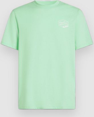 O'Neill Box Logo T-Shirt mildrew mint