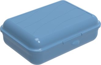 Rotho Fun Vesperdose 1,25l mit Klickverschluss, Kunststoff (PP) BPA-frei, blau, 1,25l (19,5 x 14,5 x 6,5 cm)