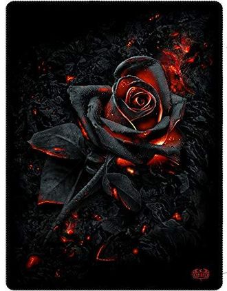 Spiral Burnt Rose - Couverture Polaire avec Impression Double Face - L