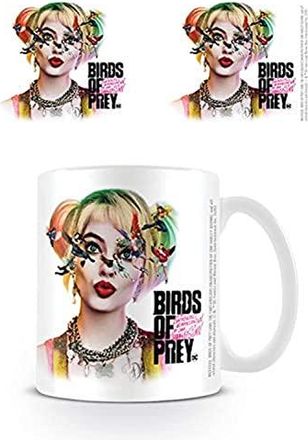 DC Comics Birds Of Prey MG25855 Tasse aus Keramik, 315 ml (Seeing Stars), Weiss/opulenter Garten