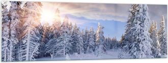 Arttor Panorama Bilder auf Glas 160x50cm Glasbild Abenteuer alpen winter schnee Gro&szlig; XXL Wanddeko Bild im Glas Schlafzimmer K&uuml;che Wandbilder Dekoration Wohnz