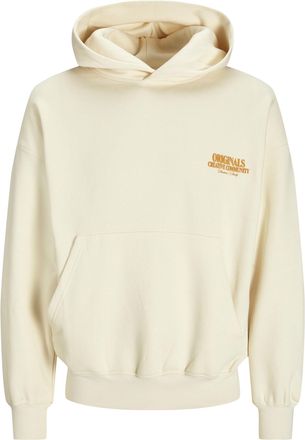 Jack & Jones JACK&JONES JORROXBURY Back Sweat Hood