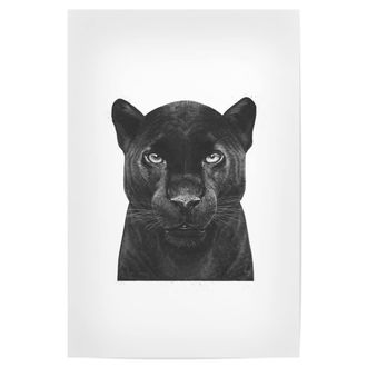 artboxONE Poster 30x20 cm Tiere Black Panther hochwertiger Design Kunstdruck - Bild Panther cat Panther
