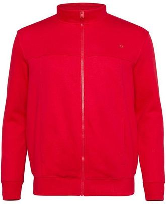 s.Oliver Sweatjacke Sweatshirt Jacke Sweatjacke mit Stehkragen