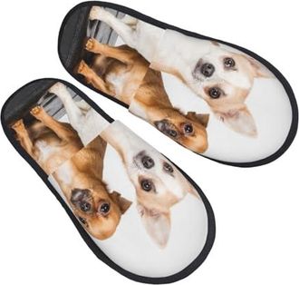 Generic Pantoufle Maison Petit Chiot Chihuahua Chaudes Pantoufles Antid&eacute;rapantes Chaussons Maison Doux Hiver Chaussures Chaudes Pour Salon H&ocirc;tels Chambre L