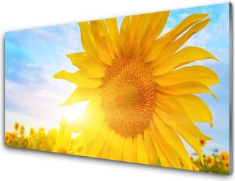 Tulup Glasbilder 100x50cm - Wandbild Druck auf Glas XXL Panorama-Bild Wandbilder aus Echt-Glas Sicherheitsglas Kunstdruck f&uuml;r K&uuml;che Wohnzimmer Sonnenblume P