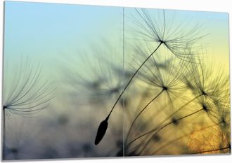 Wallario Herdabdeckplatte/Spritzschutz aus Glas, 2-teilig, 80x52cm, f&uuml;r Ceran- und Induktionsherde, Samen der Pusteblume in Nahaufnahme vor blauem Himmel