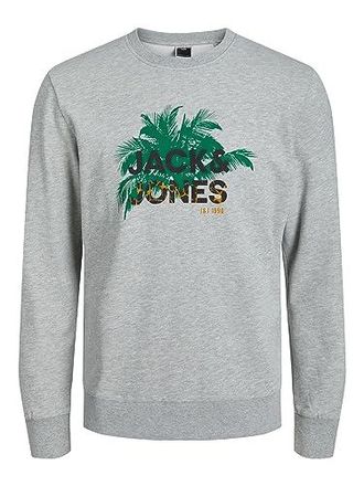 Jack & Jones Sweat-Shirt Jcosalty à col Rond FST pour Homme, Gris Clair chiné/détail : Nouveau Lgm, M