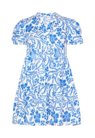 Felipa Kleid Frauen Blau
