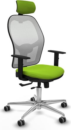 Piqueras y Crespo Ergonomischer Stuhl mit 1D-Armen, h&ouml;henverstellbare Lendenwirbelst&uuml;tze und Kopfteil, h&ouml;henverstellbar und neigbar, Wei&szlig;/Pistazie