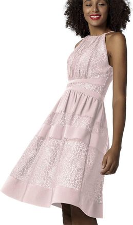 Apart Fashion APART Damen Spitzenkleid mit blickdichten Streifen und nudefarbenem Futter