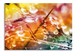 Pixxprint Glasbild, Wandbild aus Echtglas, Spinnennetz mit Wassertropfen, 60x40 cm, inkl. Aufhängung und Abstandshalter