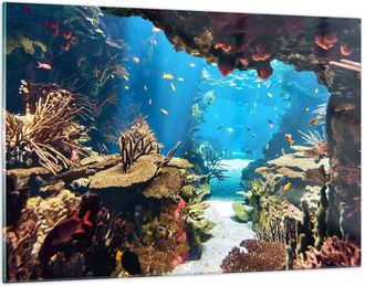 Arttor Wandbilder Dekoration Wohnzimmer Ozean Riff Fische Koralle Bilder auf Glas 120x80cm Glasbild Schlafzimmer Küche Deko Wand Kunstdruck Art Groß XXL Wand