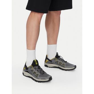 Salomon Sandalen Salomon Techamphibian 5 L49227700 Grau
