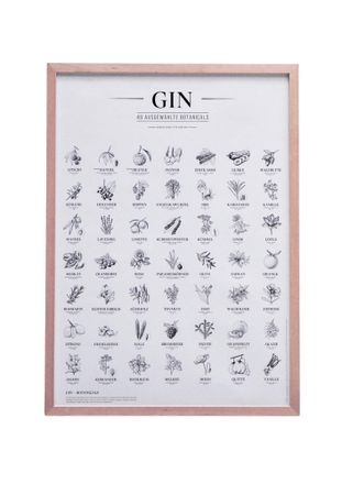 531 Rheinland Design Gin Plakat, 49 ausgew&auml;hlte Kr&auml;uter Botanicals Gin Aromen als Poster, wall decor in A2 und Schwarz Wei&szlig; (Nur als Poster)