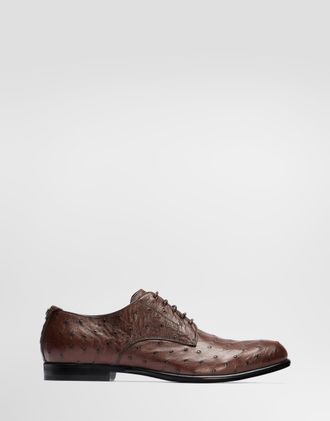 Dolce & Gabbana Derby-schuhe Aus Strau&szlig;enleder - Mann Schn&uuml;rschuhe Braun 42