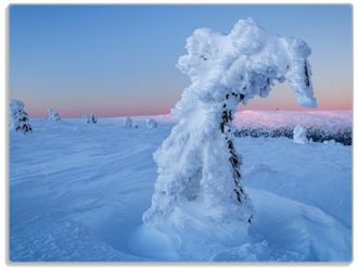 Wallario Glasunterlage/Schneidebrett aus Glas, Schneeskulptur, Gr&ouml;&szlig;e 30 x 40 cm, Kratzfest, aus Sicherheitsglas
