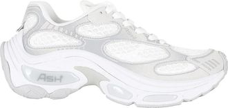 Ash Ash, Femme, Chaussures, Blanc, Taille: 38 EU Dragon Baskets