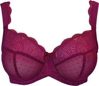 SugarShape BH Clara
