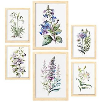 Nacnic Fleurs de lys Affiches. Illustrations Nature et Botanique en Couleur avec des Th&egrave;mes Floraux sur des Arri&egrave;re-plans Blancs Purs. Design dint&eacute;rieur et d