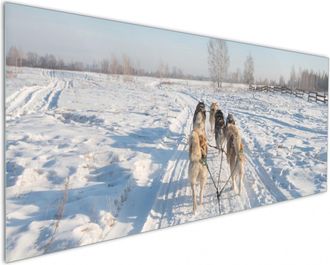 Wallario K&uuml;chenr&uuml;ckwand aus Glas 125 x 50 cm, Motiv: Hundeschlitten im Schnee | Spritzschutz abwischbar & pflegeleicht
