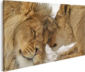 Islandburner Bild auf Leinwand L&ouml;we und L&ouml;win kuschelnd Z&auml;rtlich Harmonie Partnerschaft Liebe Wandbild Poster Kunstdruck Bilder