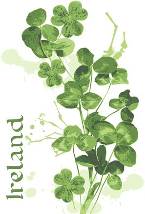 Ulster Weavers 73,9 x 48 cm irischen Kleebl&auml;ttern Baumwolle Geschirrtuch