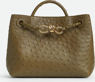 Bottega Veneta Andiamo Petit Format - Bottega Veneta