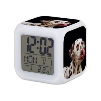 Fabulous Wecker W&uuml;rfel, beleuchtet, Wei&szlig; - Dalmatiner gro&szlig;er Hund zieht Zunge wei&szlig; und braun niedlich - 7,8 x 7,8 x 7,8 cm - Retro-Beleuchtung mehrfarbig LED