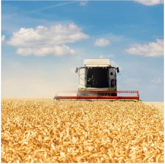 Wallario Sticker/Aufkleber f&uuml;r K&uuml;hlschrank/Geschirrsp&uuml;ler/K&uuml;chenschr&auml;nke, Selbstklebende Folie - 60 x 60 cm, Motiv: Erntezeit auf dem Feld