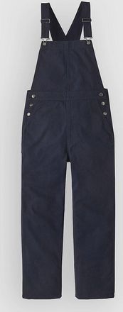Patagonia Point Reyes Canvas Overall bleu