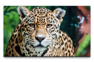 Paul Sinus Art Bilder XXL Jaguar in der Natur 120x70cm Wandbild auf Leinwand