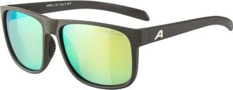 Alpina unisex, Accessoires, Noir, Taille: ONE Size Nacan III