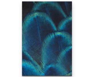 Paul Sinus Art Leinwandbilder | Bilder Leinwand 90x60cm Pfauenfedern - Nahaufnahme