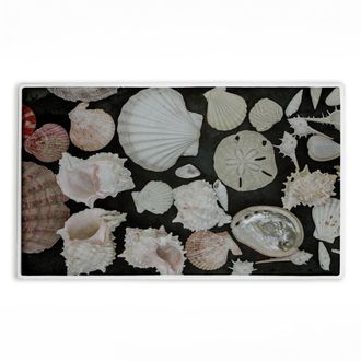 Stupell Industries Amy Carroll Badezimmer-Fußmatte, Motiv: Sommermuscheln, Bedruckt, Plüsch, 76 x 2,3 x 45,7 cm
