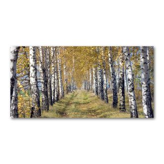 Tulup Leinwandbild - Wandkunst - Drucke auf Leinwand - Leinwanddruck -100x50 cm - Landschaften - Gelb - Birken im Herbst