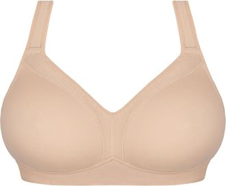 Gorsenia BH K422 Anya