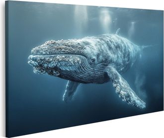 Islandburner Bild auf Leinwand Buckelwal unter Wasser gleitet majest&auml;tisch durch das Meer Bilder Wandbilder Poster