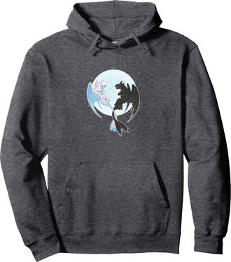 How To Train Your Dragon Drachenz&auml;hmen leicht gemacht - Nacht und Lichtmond Pullover Hoodie