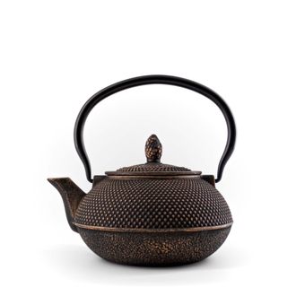 Generic ARARE Tetsubin Gusseisenkanne 900 ml &Oslash; 14,6 cm japanisch Tee-Kanne Schwarz Gold