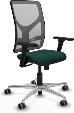 Piqueras y Crespo Sessel f&uuml;r Home Office, mit 3D-Armlehnen, h&ouml;henverstellbare Lendenwirbelst&uuml;tze, ausgestattet mit 3 Positionen und Schneideschaum, Grau/Flaschengr&uuml;n