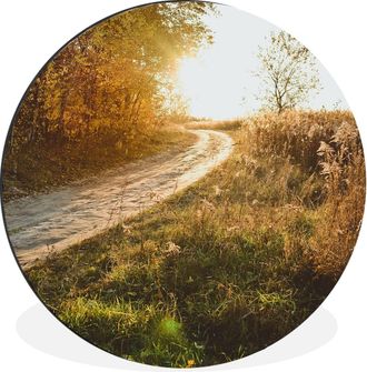 MuchoWow Wandbild Rund Wanddeko Deko Wohnzimmer Bilder 90x90 cm Weg - Natur - Baum