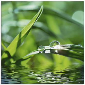 Artland ARTland Wanddeko Glasbilder Wandbild Glas Bild einteilig Quadratisch Natur Botanik Pflanzen Gräser Wassertropfen Gras Sommer Sonne Grün T5SE