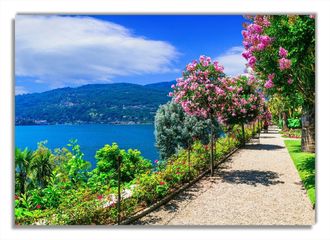 Wallario selbstklebendes Poster - Bl&uuml;tenpromenade am Seeufer, Aufkleber in Premiumqualit&auml;t, Klebefolie Gr&ouml;&szlig;e: 70 x 100 cm (Riesenposter)