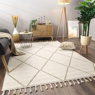 Paco Home Tapis Salon Chambre Adulte Poils Ras Motif Boho Motif Scandinave Franges, Dimension:240x340 cm, Couleur:Beige 2