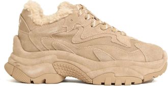 Ash Ash, Femme, Chaussures, Beige, Taille: 41 EU Addict Bis Fur Baskets