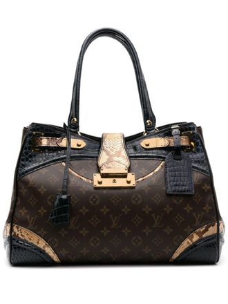 Louis Vuitton sac à main Monogrammissime (2011) - Marron