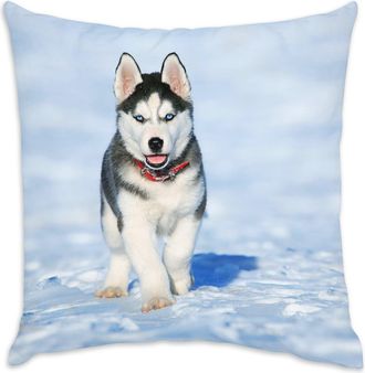 Fabulous Kissen aus wei&szlig;em Samt - Welpe Husky im Schnee Hund Halsband rot blaue Augen niedlich Hund - 40 x 40 cm - samtige Haptik - Bezug und Kissen inklusive