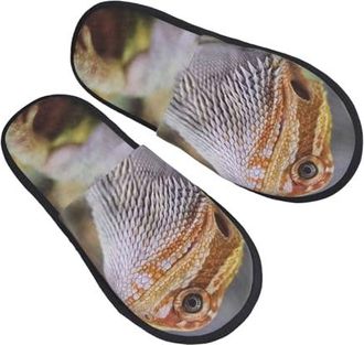 Generic Pantoufles DHiver L&eacute;zard Dragon Unisexe Hiver Pantoufles Antid&eacute;rapant Maison Slippers Pour Spa Int&eacute;rieur Chambre M
